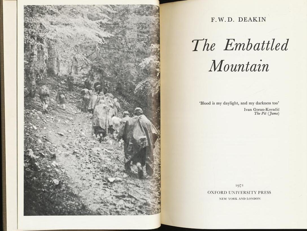 The Embattled Mountain – Moni Finci